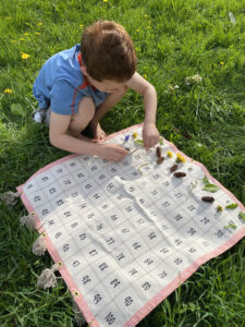 Wild Math | Wild Learning