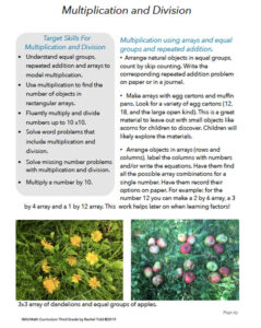 Wild Math Curriculum: Third Grade | Wild Learning