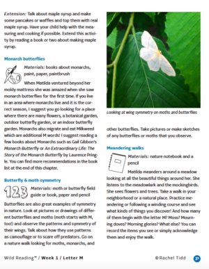 Wild Reading Curriculum Level 1 | Wild Learning