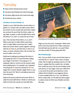 Wild Reading Curriculum Level 1 | Wild Learning