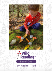 Wild Reading Curriculum Level 1 | Wild Learning