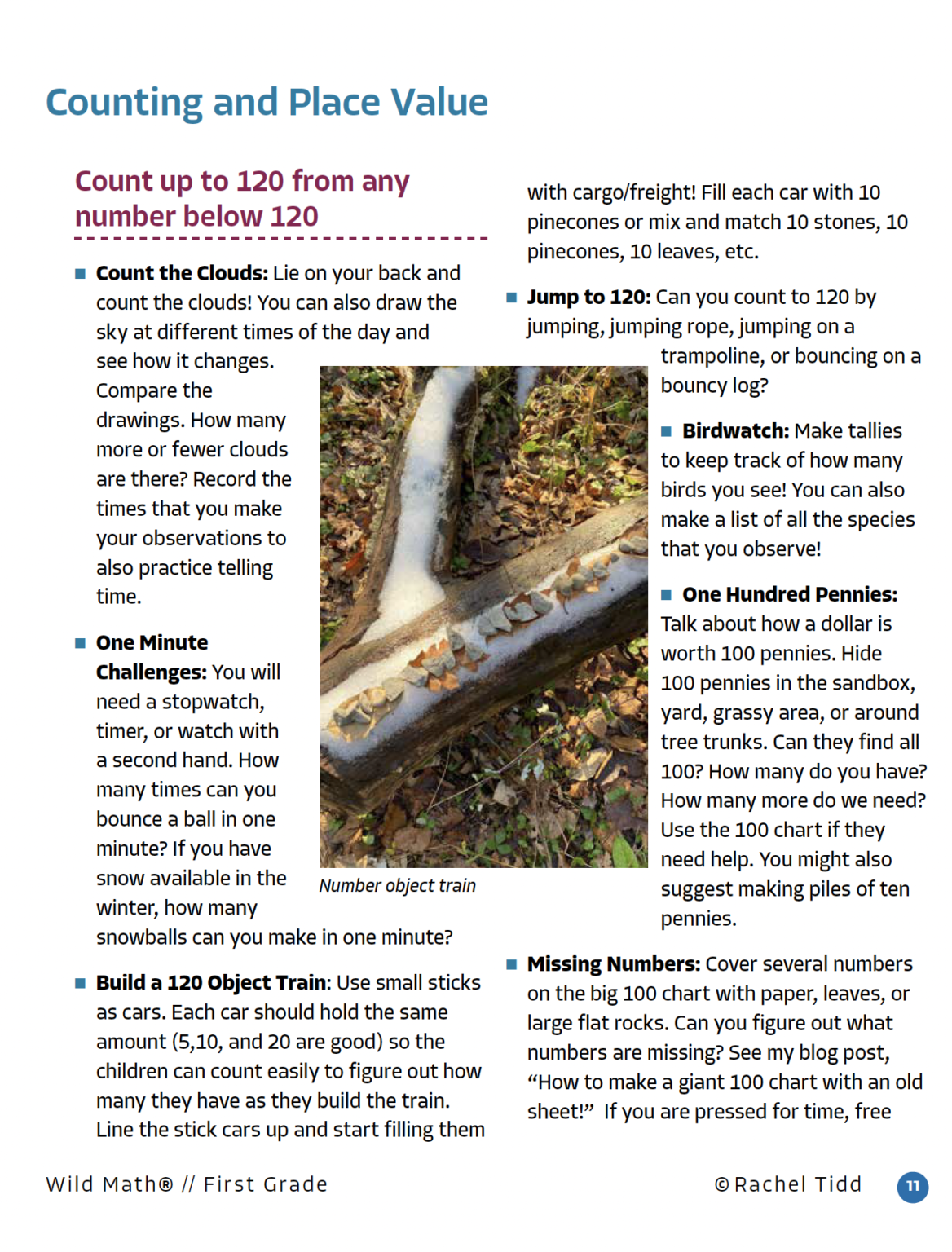 Wild Math Curriculum: First Grade | Wild Learning