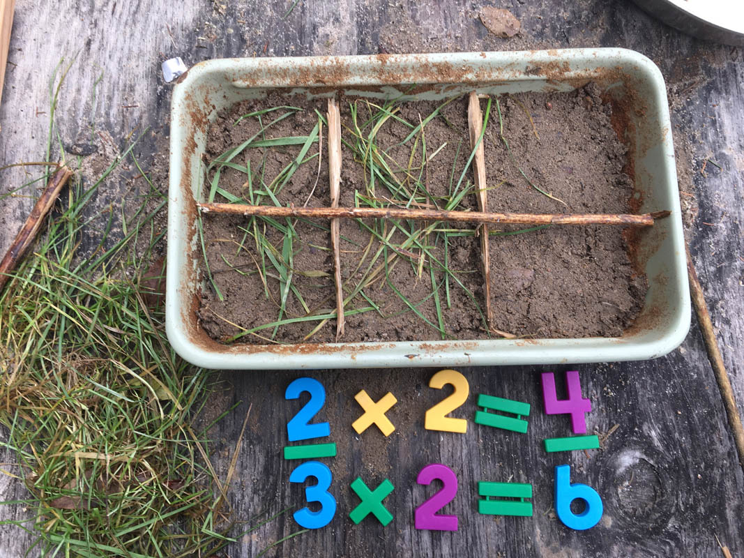 Wild Math | Wild Learning