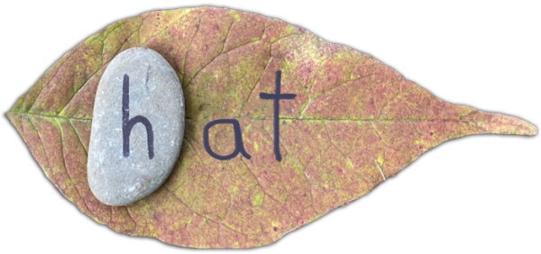 Wild Learning | Wild Learning