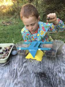 Wild Math | Wild Learning