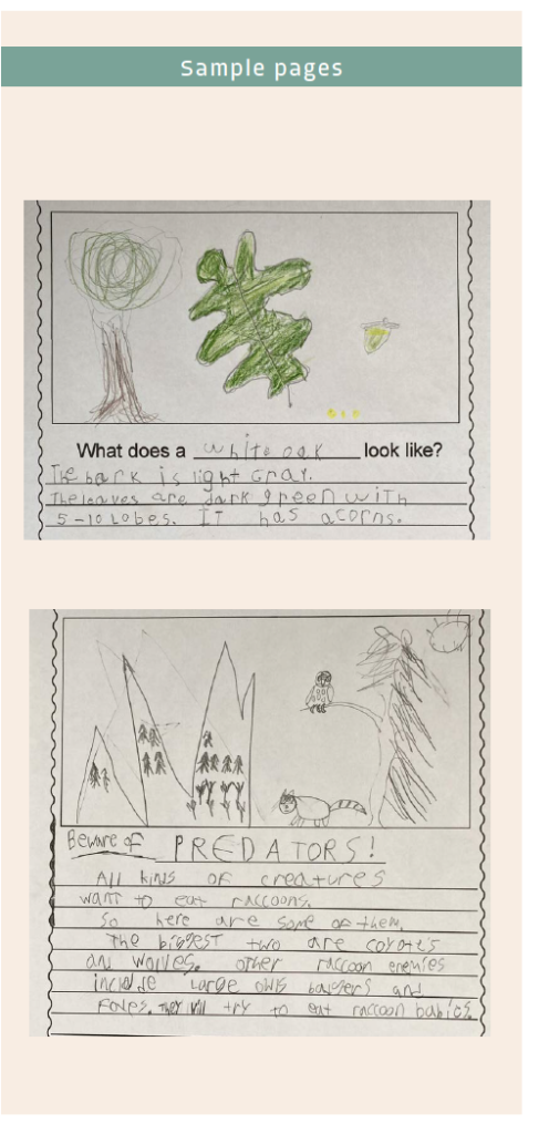 All About Books Writing Unit | Wild Learning