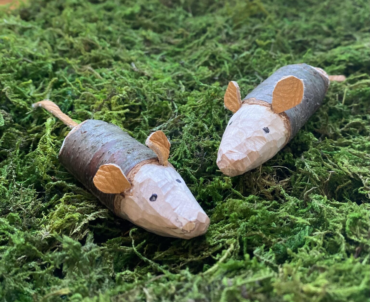 Home | Wild Learning