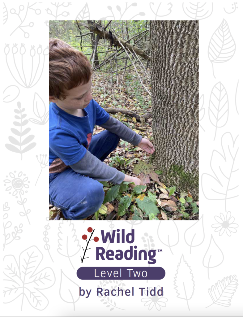 Shop Wild Learning | Wild Learning