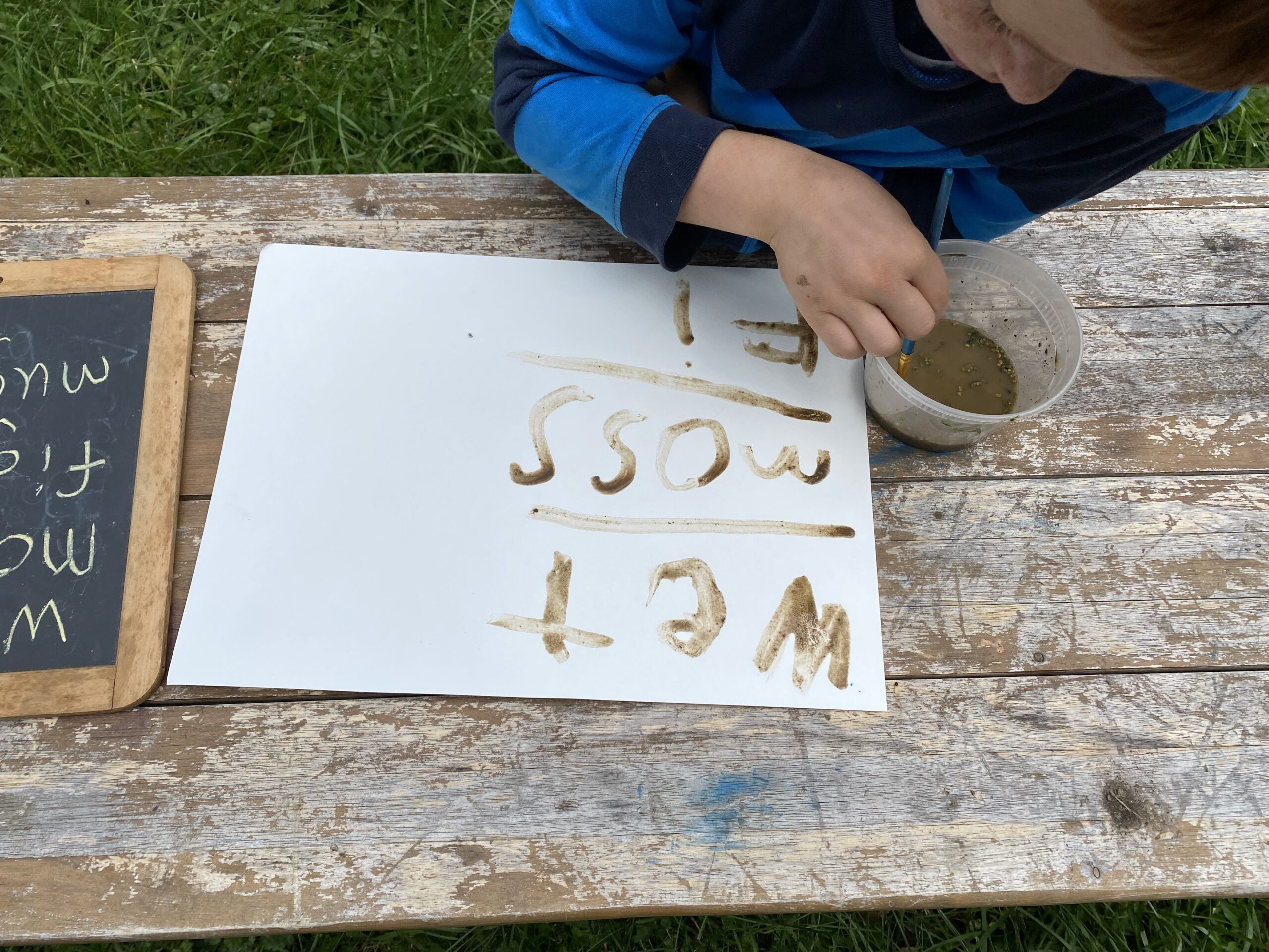 Wild Reading Level 2 | Wild Learning