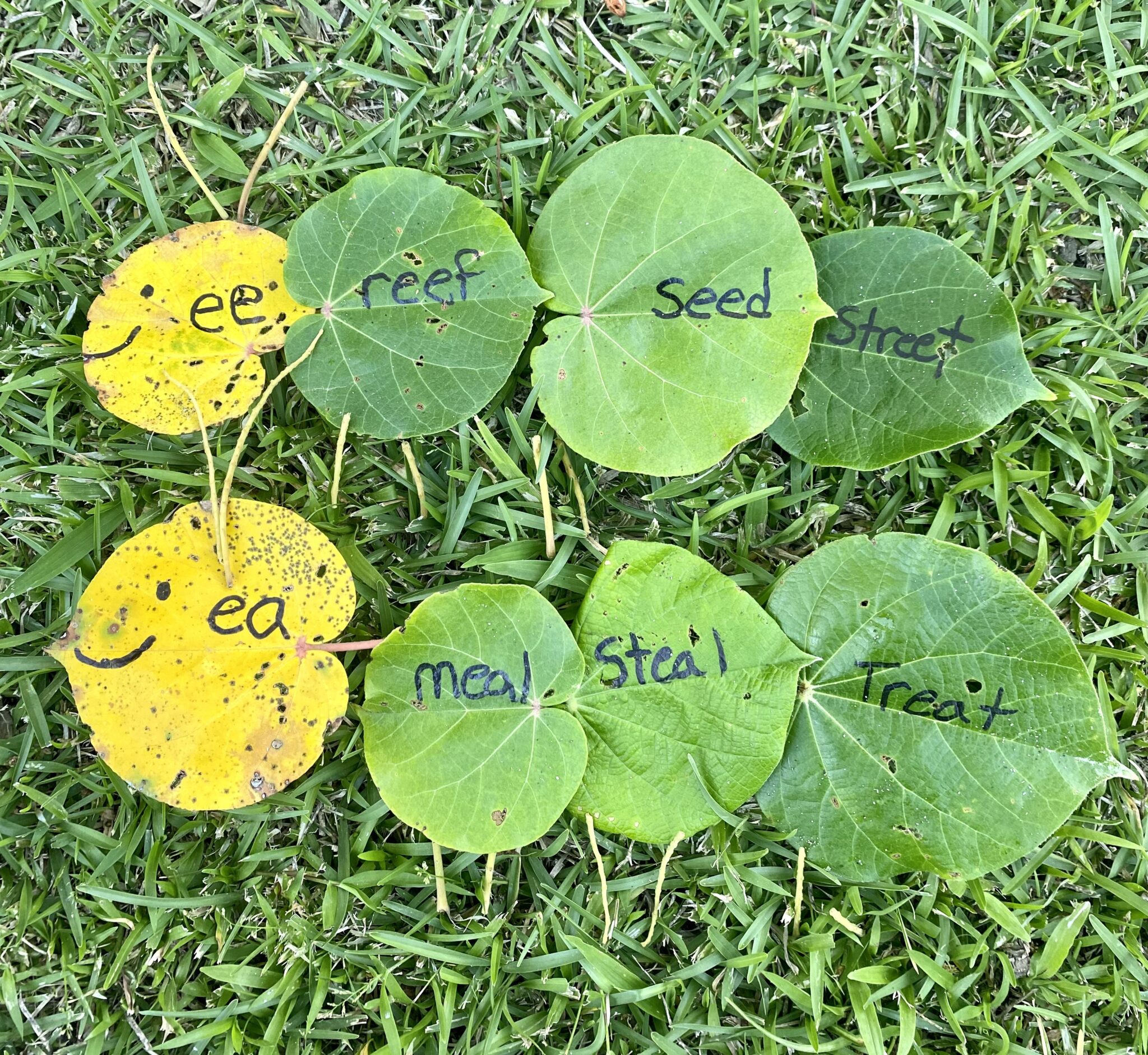 Wild Reading Level 2 | Wild Learning