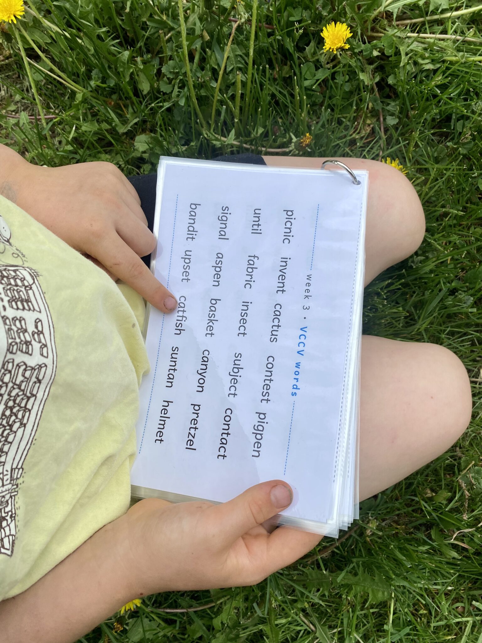 Wild Reading Level 2 | Wild Learning