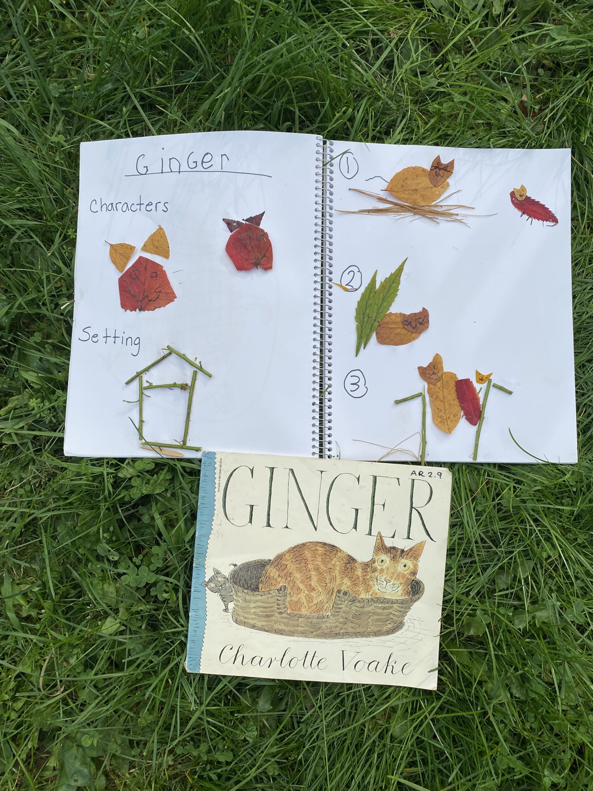 Wild Reading Level 2 | Wild Learning