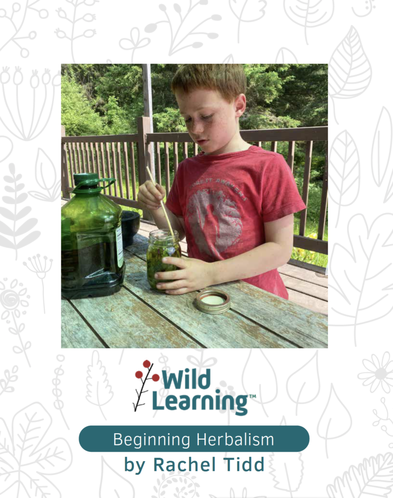 Beginning Herbalism Unit | Wild Learning