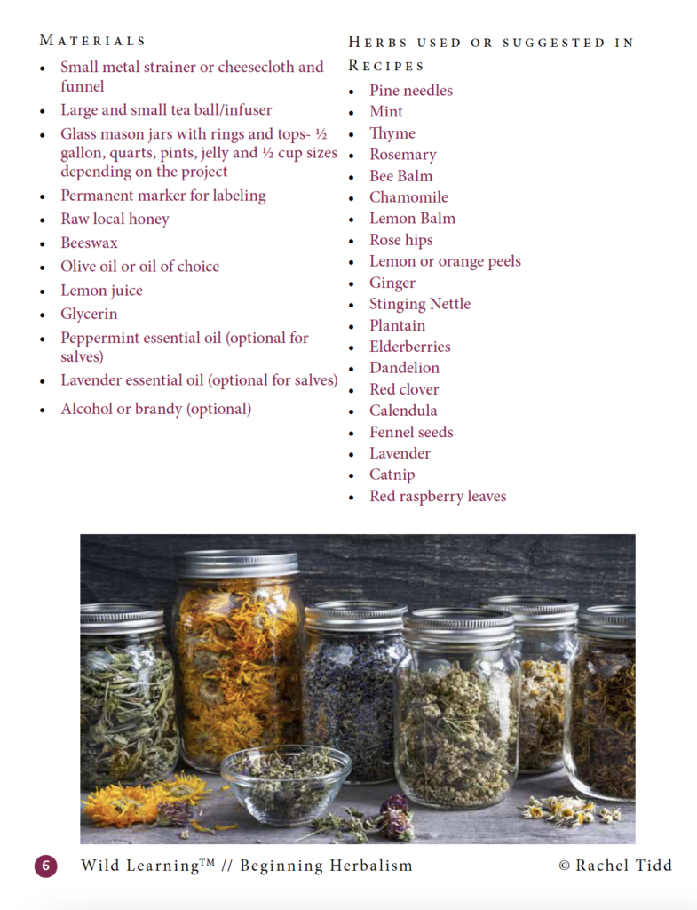 Beginning Herbalism Unit | Wild Learning