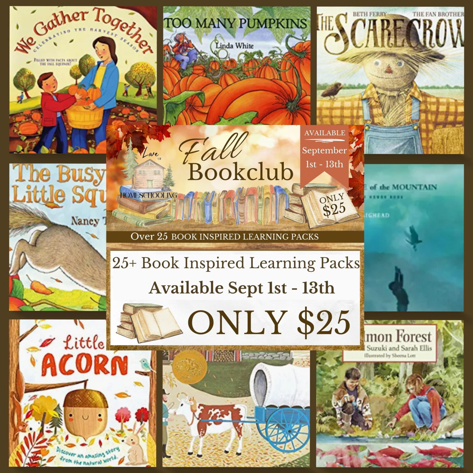 Home | Wild Learning