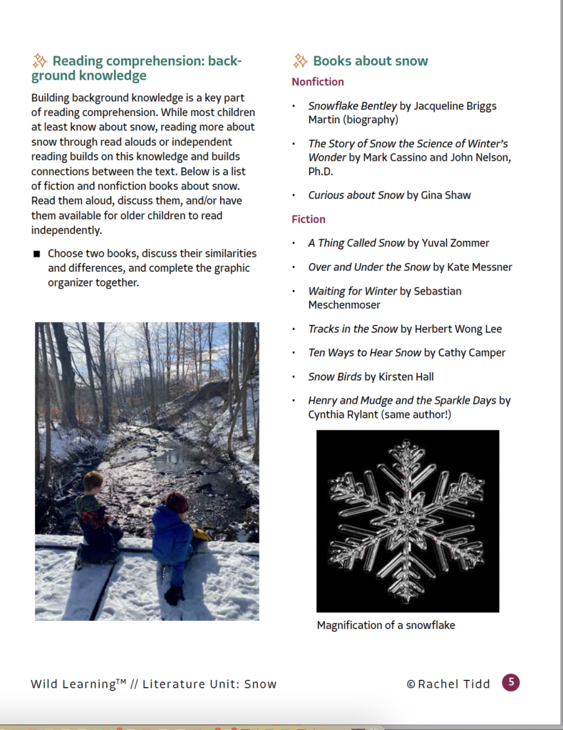 Literature unit: Snow by Cynthia Rylant | Wild Learning