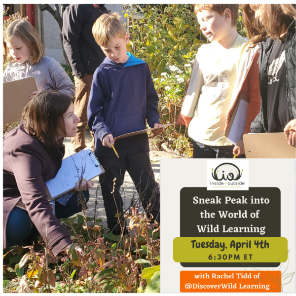 Workshops/Speaking | Wild Learning