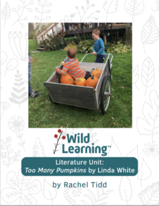 Literature unit: Too Many Pumpkins by Linda White | Wild Learning