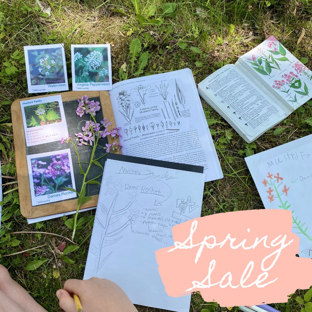 Wild Learning | Wild Learning