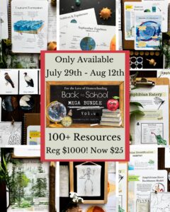 Wild Learning | Wild Learning