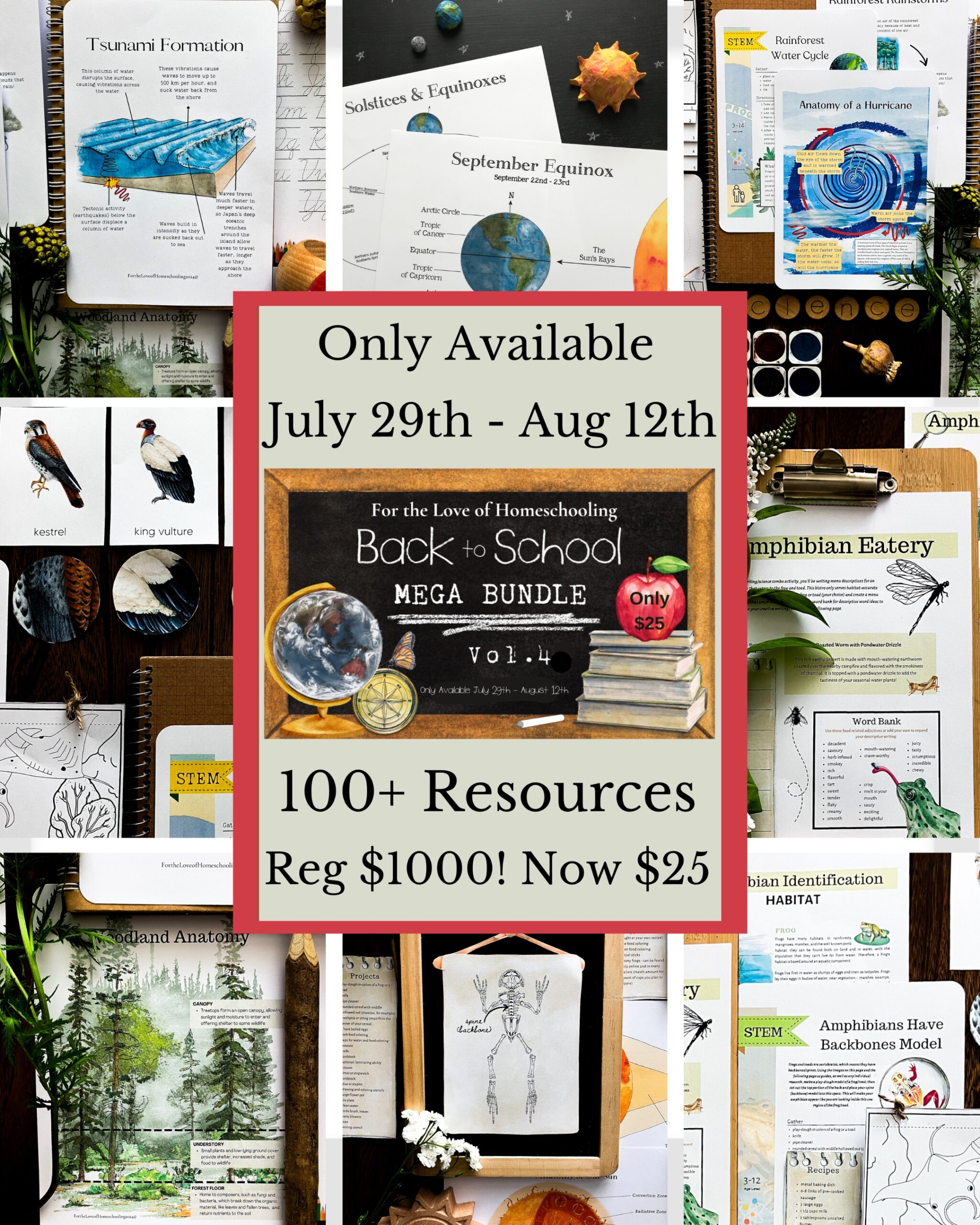 Wild Learning | Wild Learning