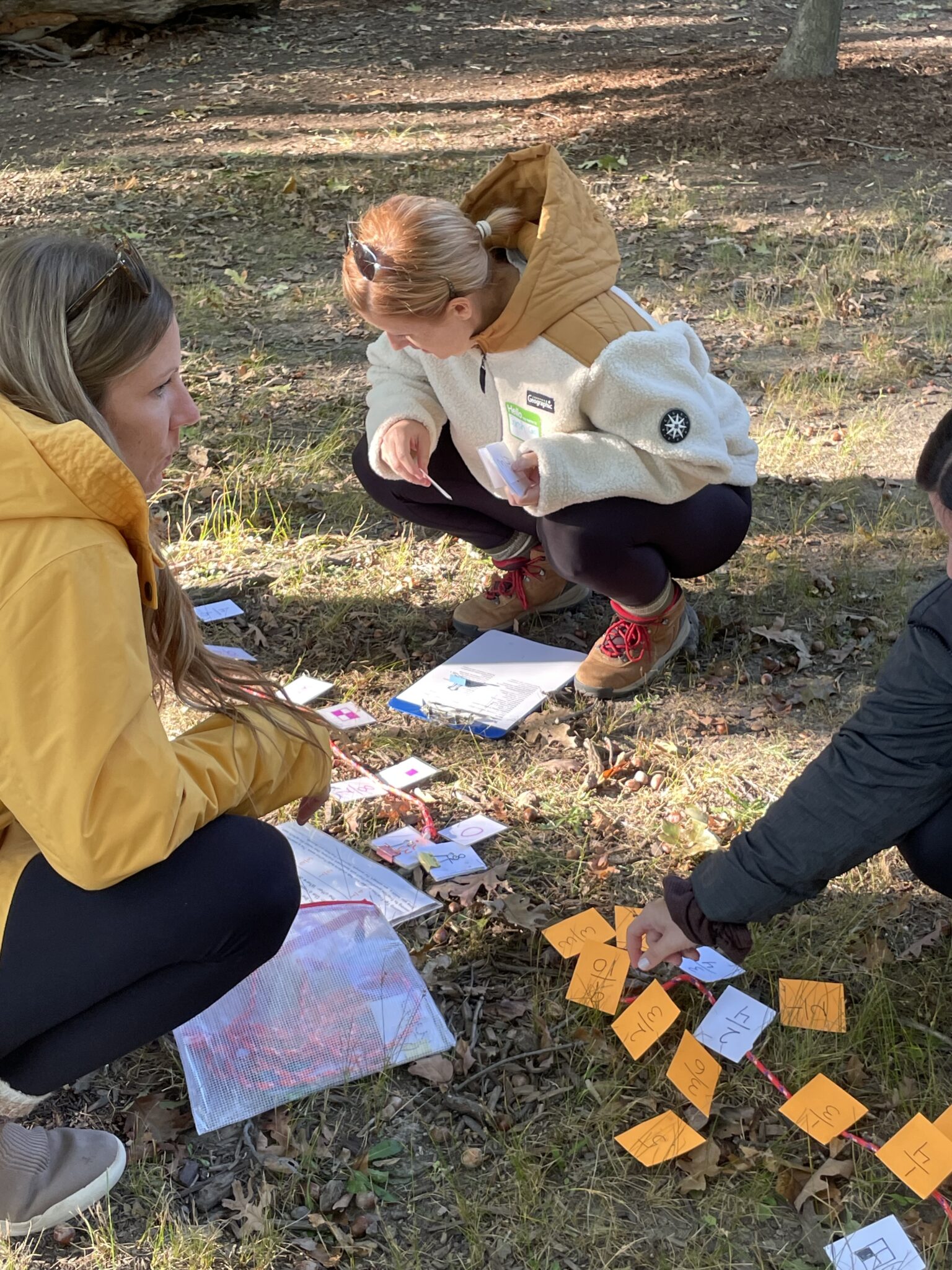 Workshops/Speaking | Wild Learning