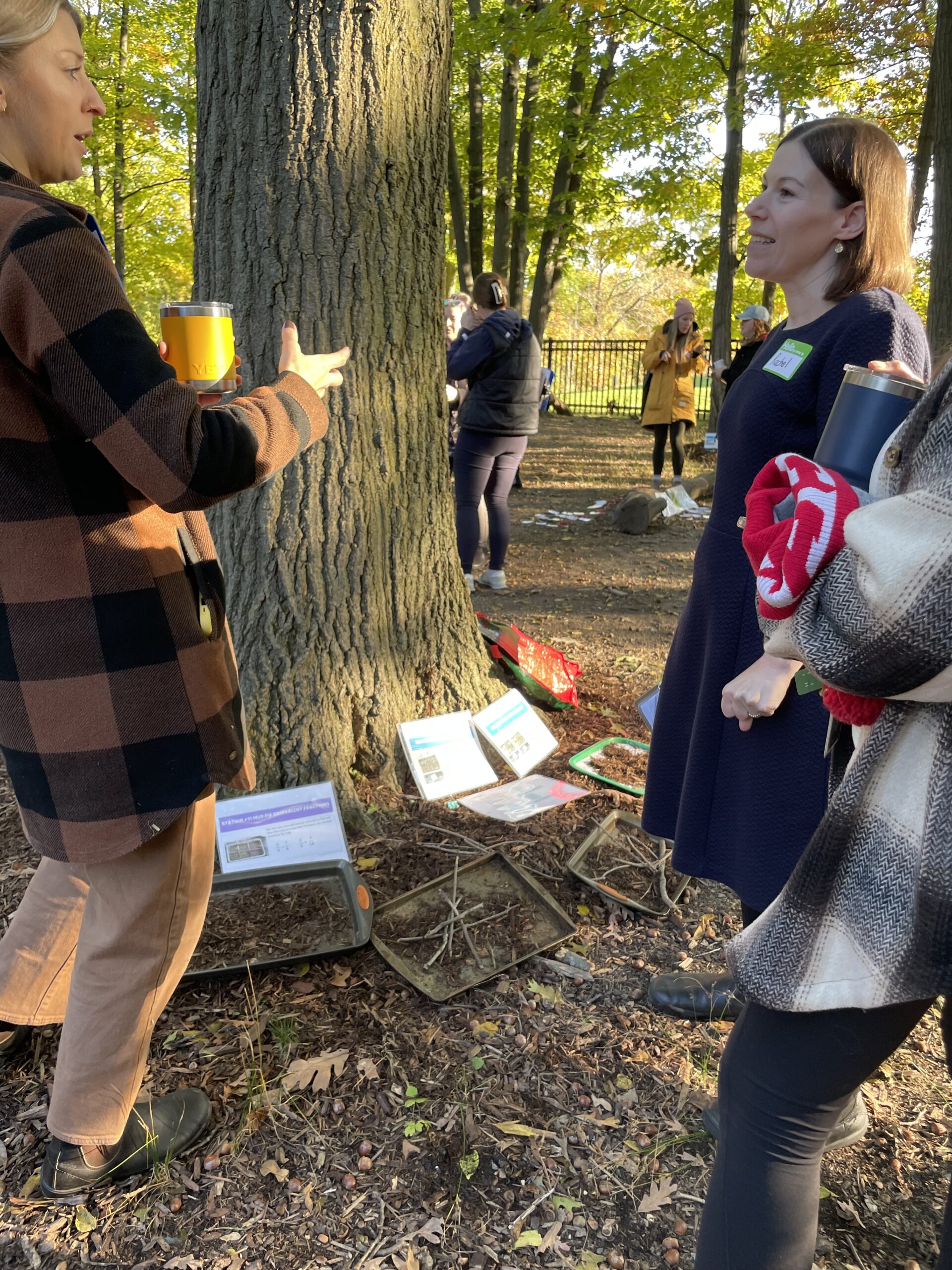 Workshops/Speaking | Wild Learning